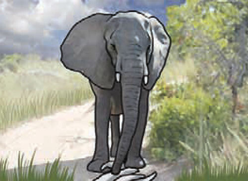 Mourning of elephants | The DONG-A ILBO