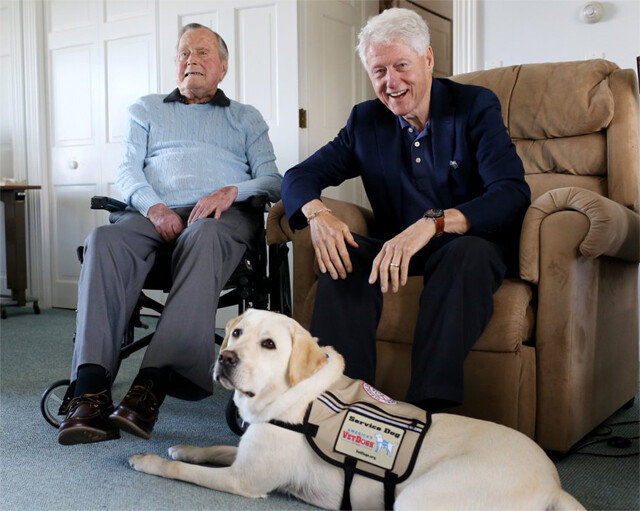George H. W. Bush adopts service dog | The DONG-A ILBO
