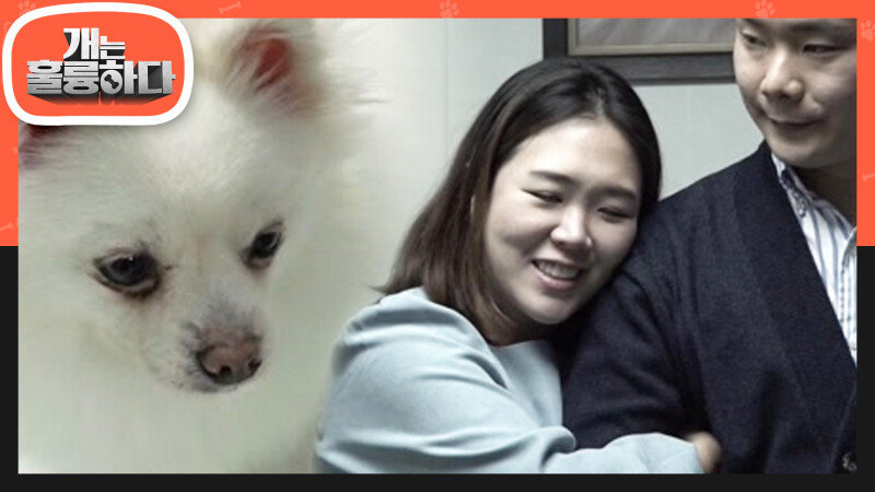 갑작스러운 블로킹에 충격과 공포에 빠진 루나.. 서러움x100 | KBS 230123 방송 : 보다스튜디오