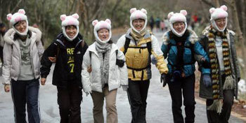 Pig Hats | The DONG-A ILBO