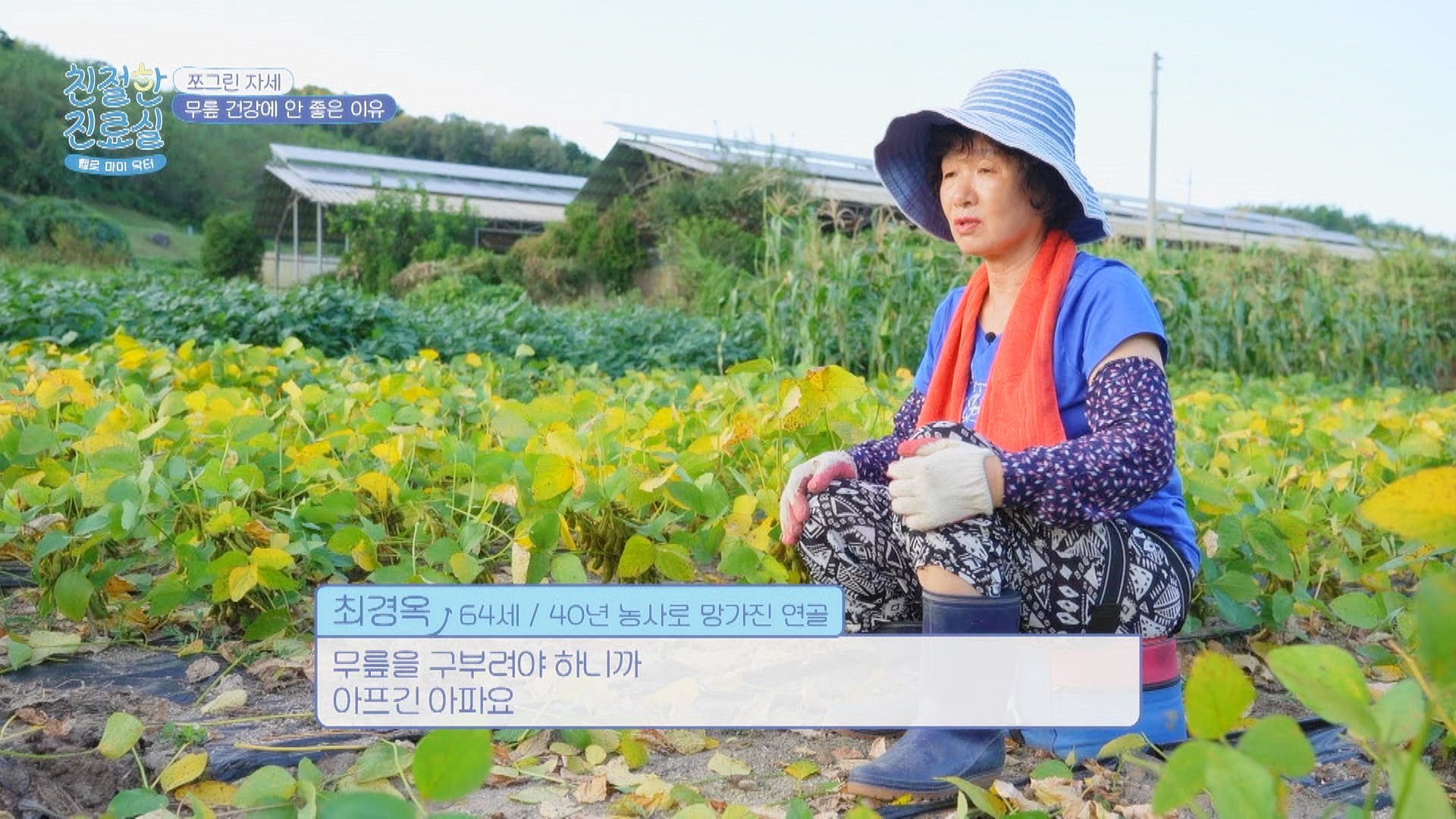 송곳으로 찌르는 고통? 밭농사로 인해 망가진 무릎... | JTBC 231016 방송 | 보다