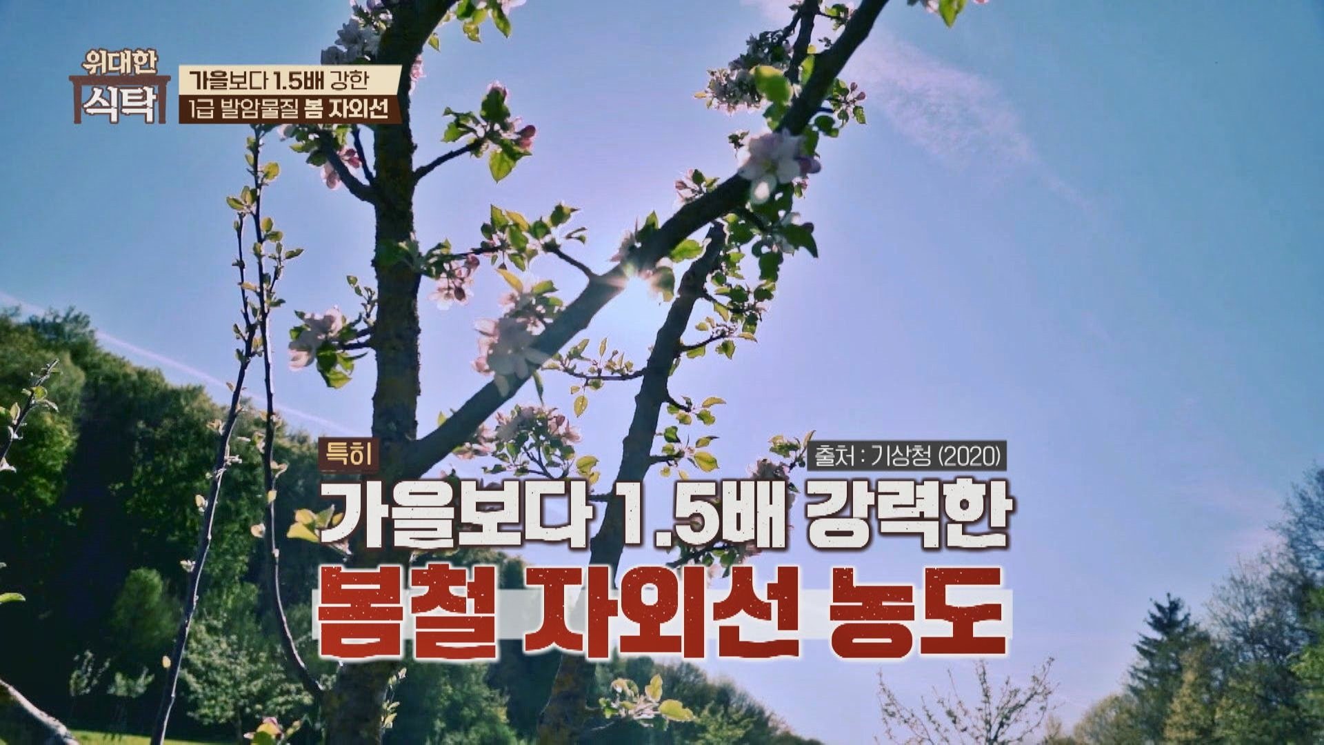 봄철 야외활동주의 피부 노화를 가속하는 주범 '자외선' | JTBC 230311 방송 | 보다