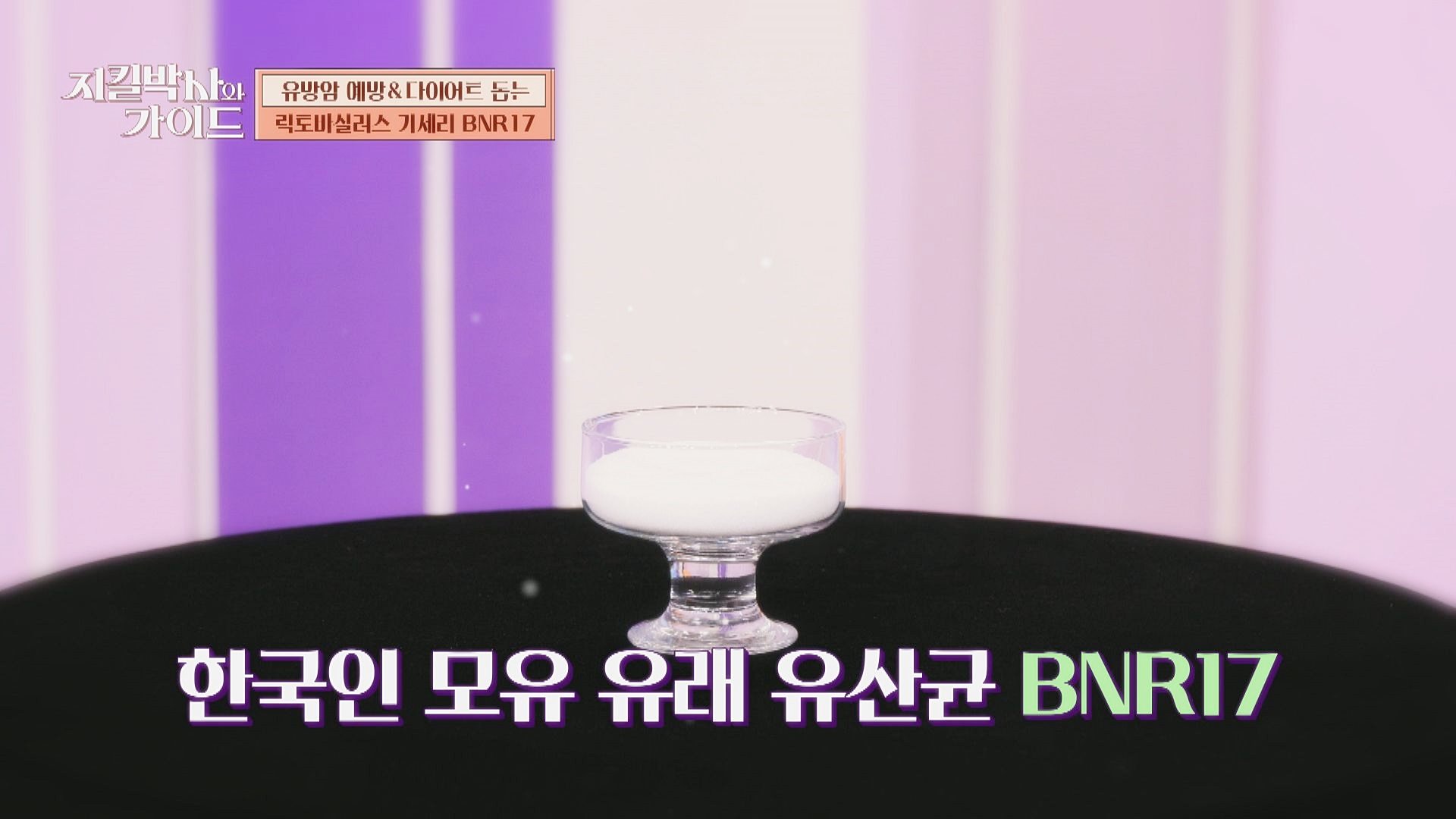 다이어트를 돕는 유산균 'BNR17' (+유방암 예방) | JTBC 230813 방송 | 보다