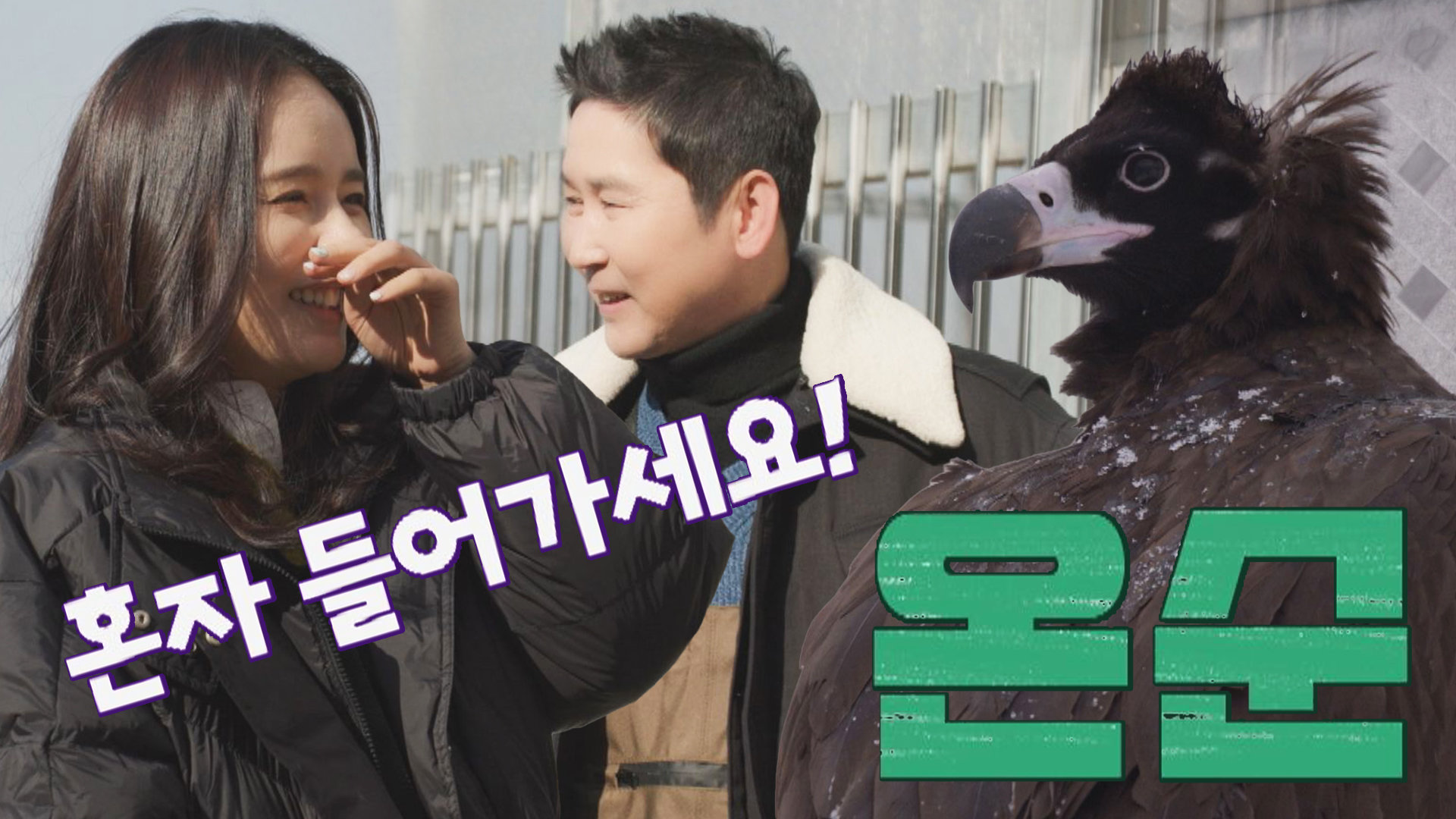 생각보다 온순한(?) 동물 '독수리🦅' 들어가자고 떼쓰는 신동엽?! ㅋㅋ | JTBC 230221 방송 | 보다