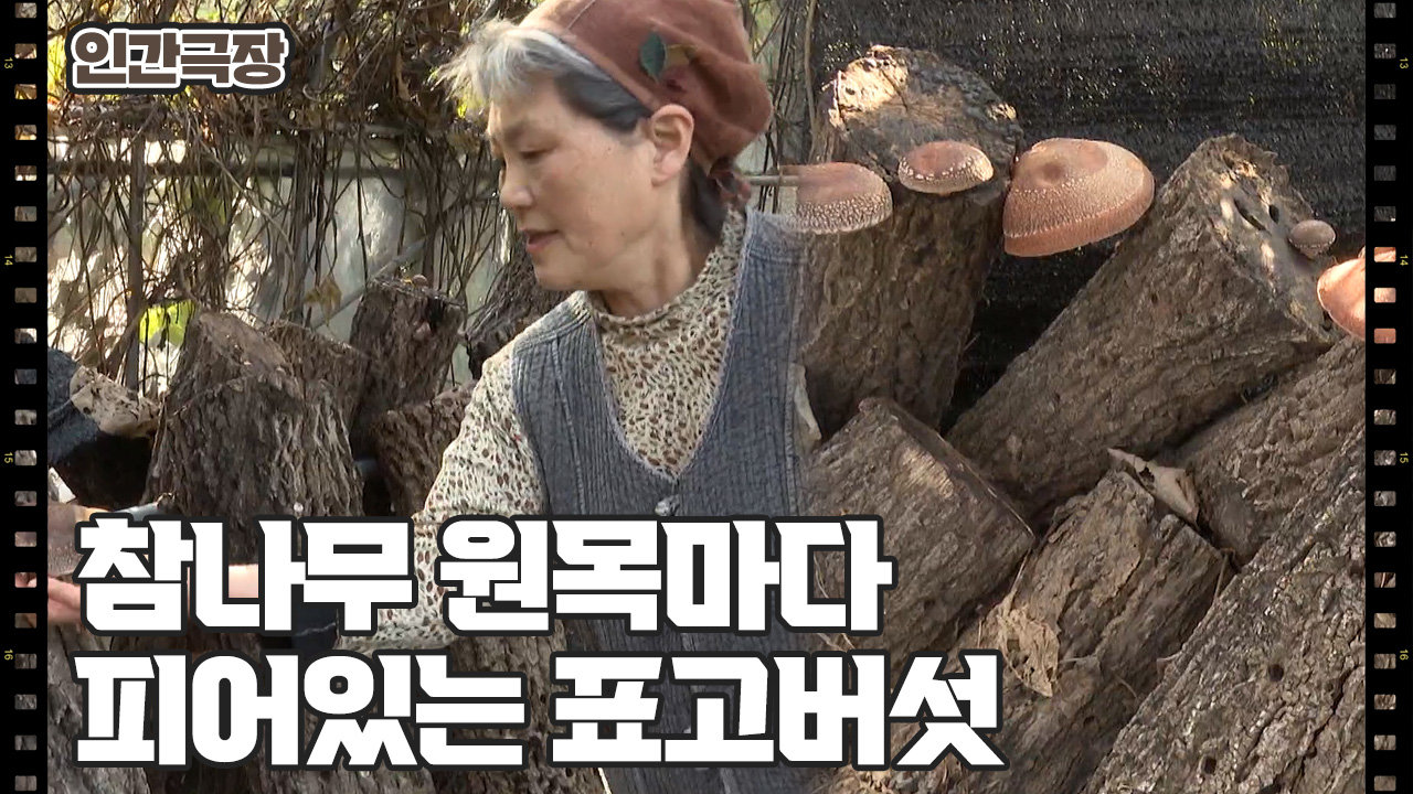 [금숙 씨 부부의 슬기로운 산골 생활] (13/15) [인간극장/Screening Humanity] | KBS 231124 방송 : VODA