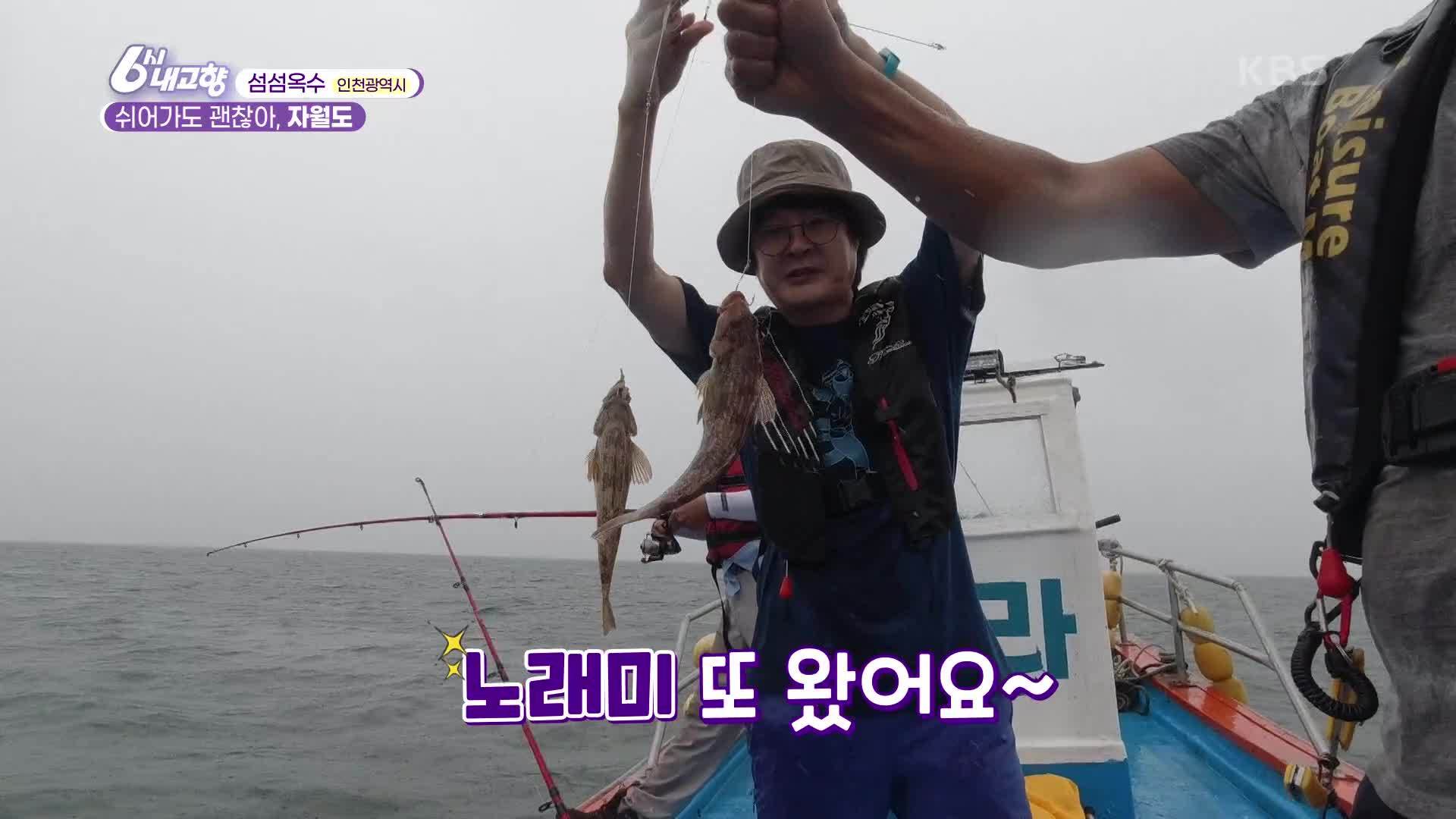 [섬섬옥수] 쉬어가도 괜찮아, 자월도 | KBS 220805 방송 : VODA