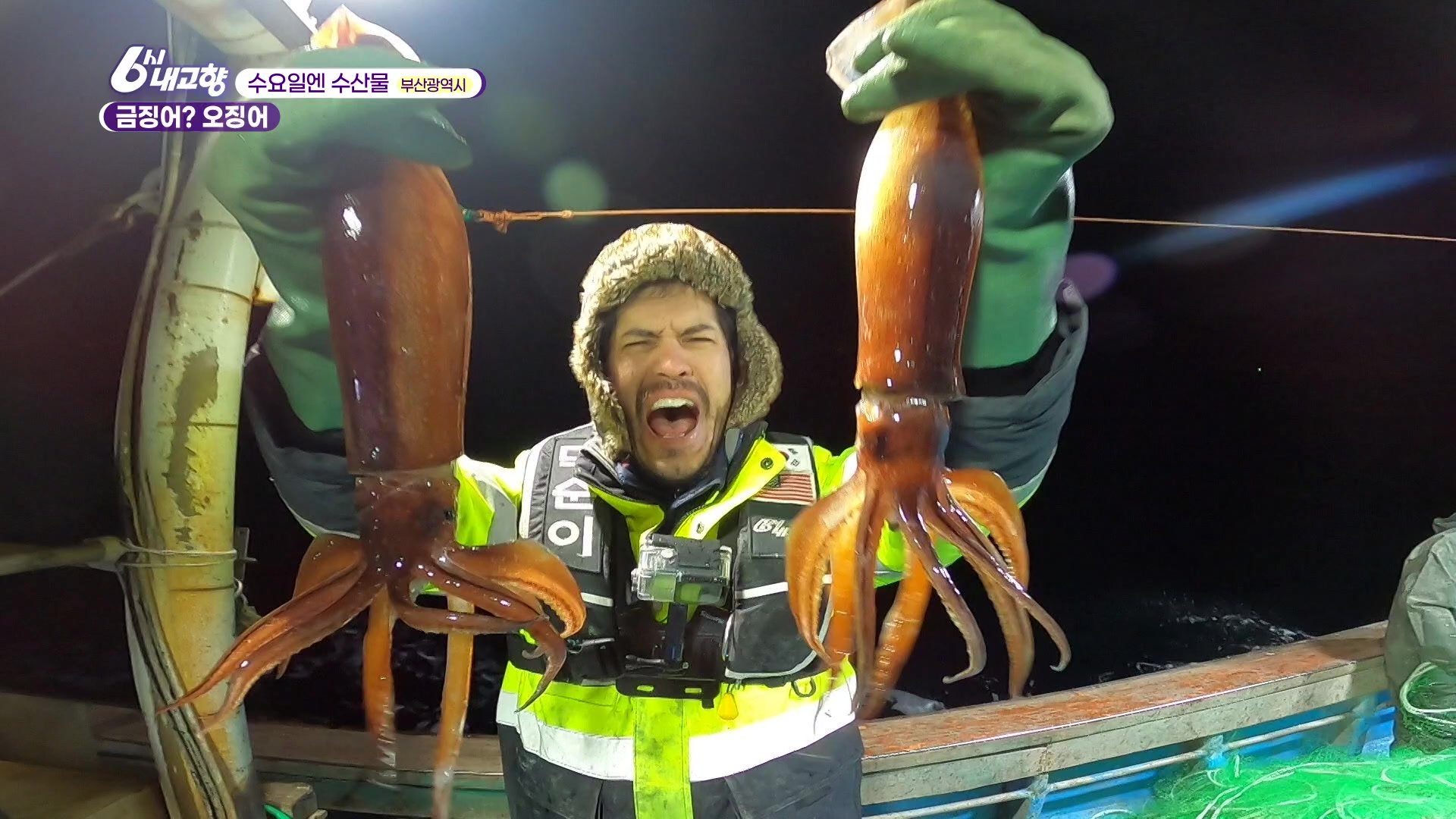 [수요일엔 수산물] 오징어? 금징어! | KBS 230125 방송 | 보다