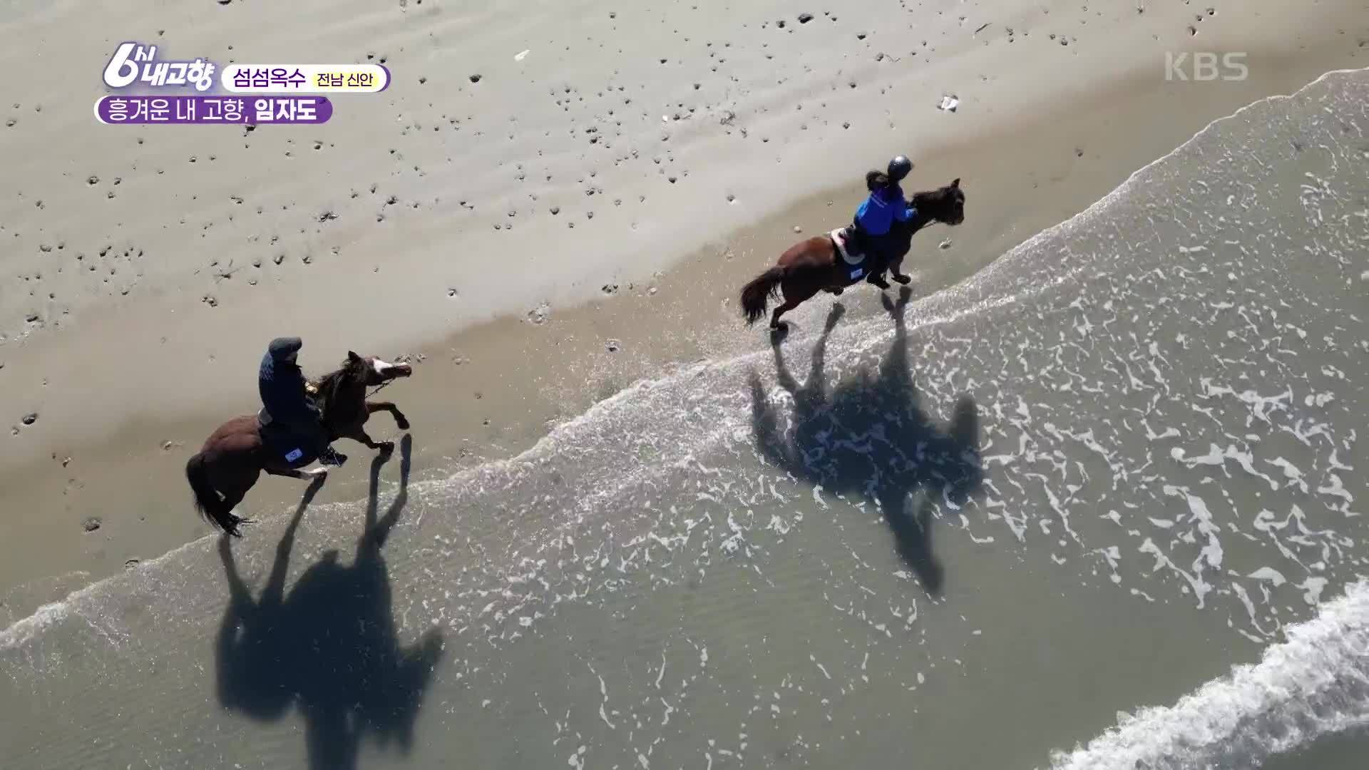 [섬섬옥수] 흥겨운 내 고향, 임자도 | KBS 230210 방송 | 보다