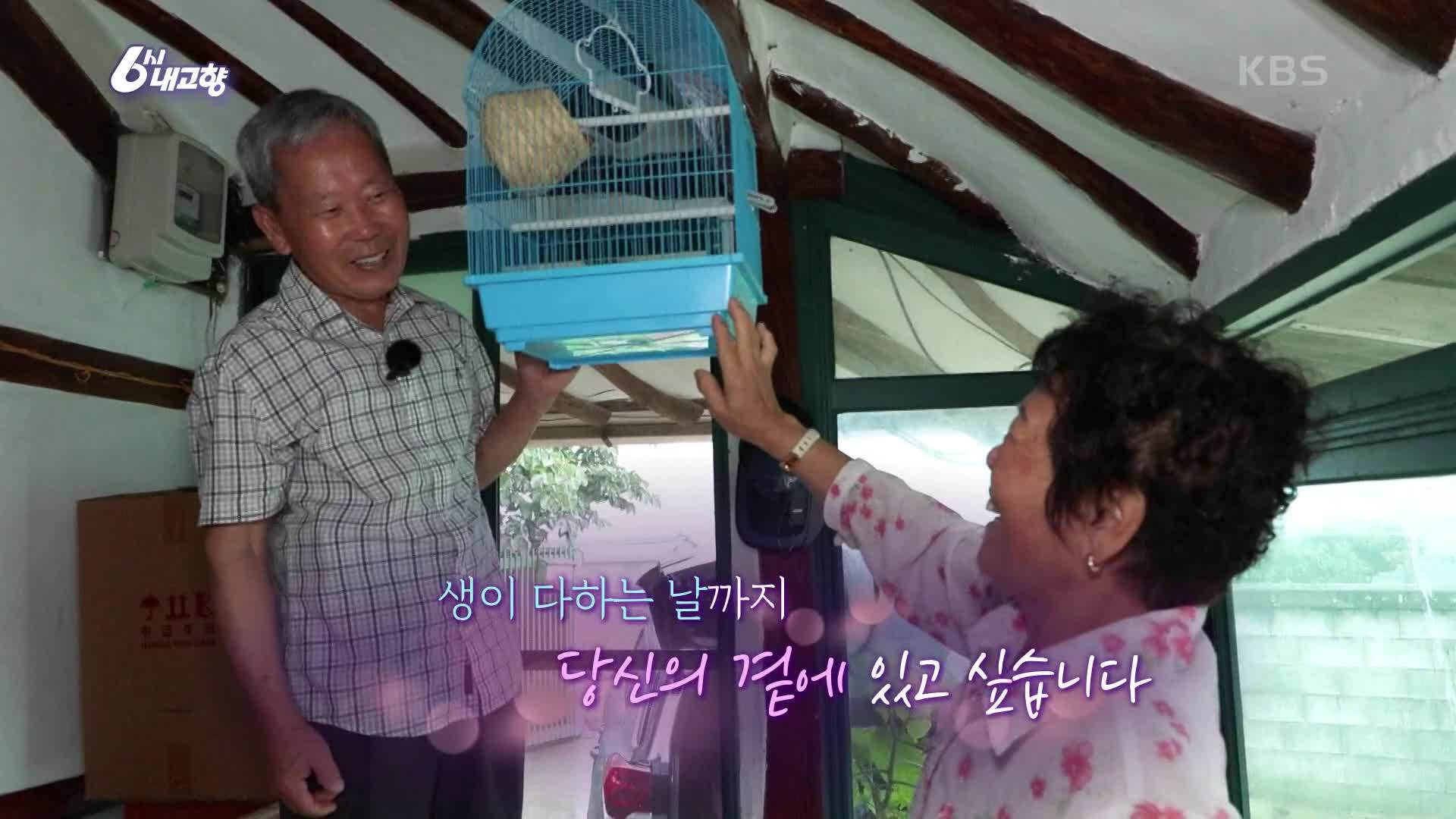 [청산에 살리라] 반백 년을 오로지 당신 | KBS 230713 방송 | 보다