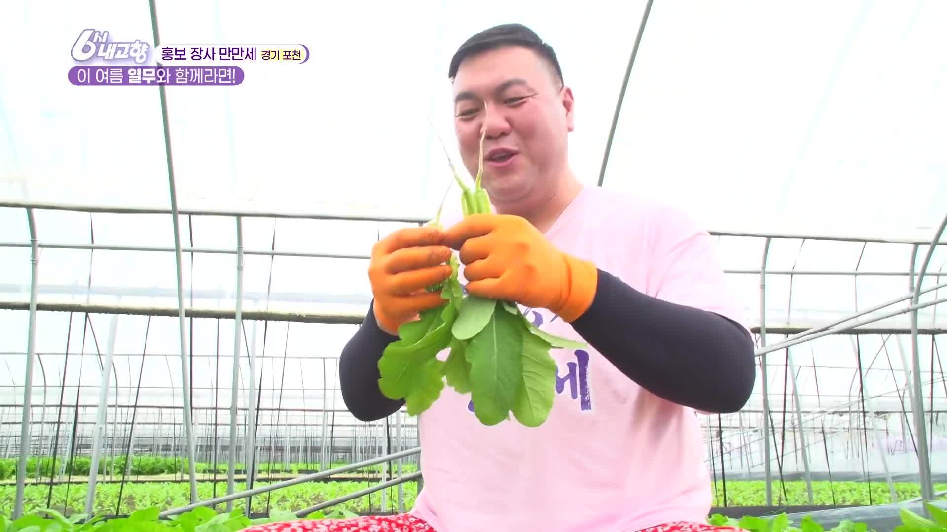 [홍보 장사 만만세] 이 여름 열무와 함께라면! | KBS 230718 방송 | 보다