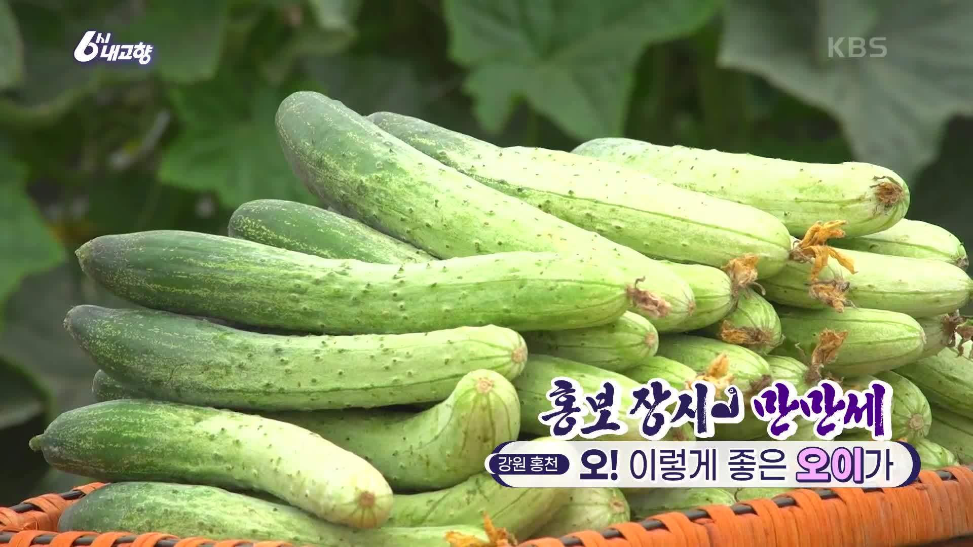 [홍보 장사 만만세] 오! 이렇게 좋은 오이가 | KBS 230725 방송 | 보다