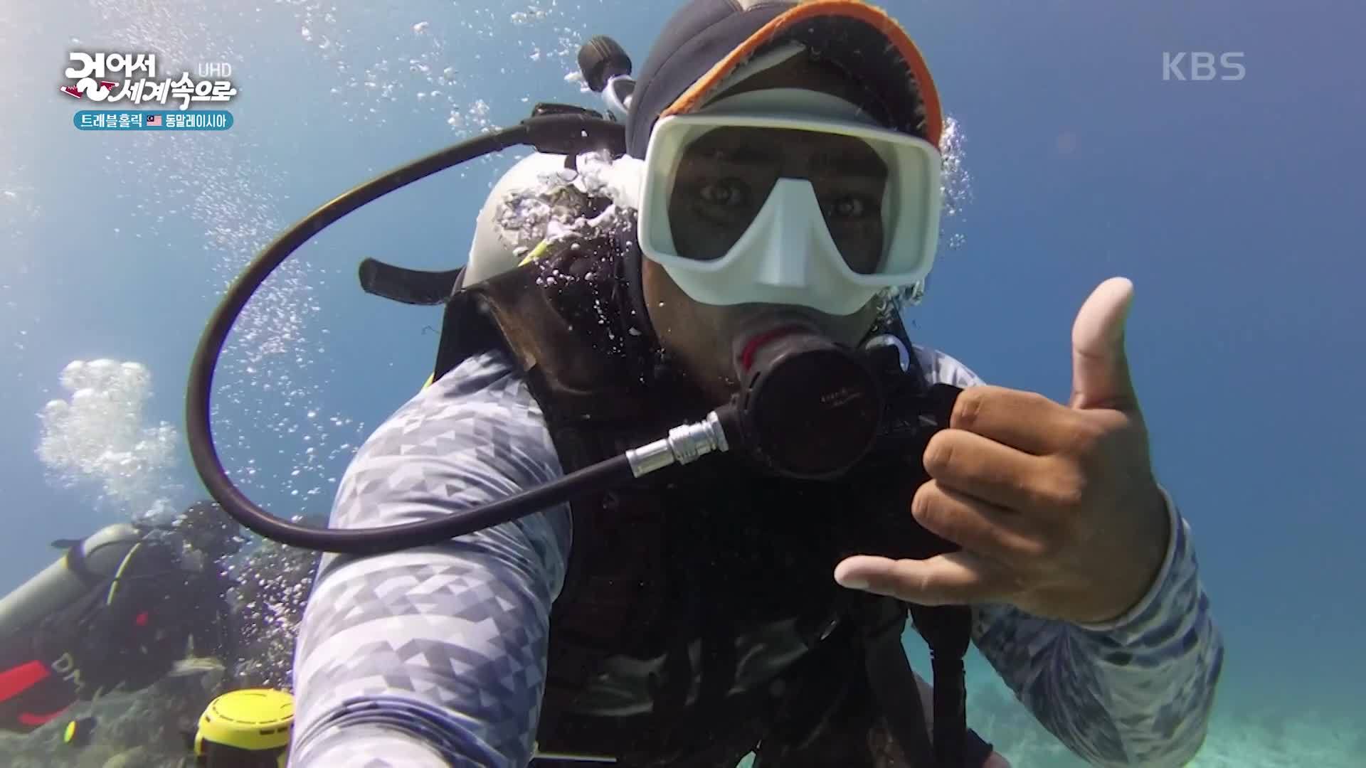 수많은 해양 동물을 볼 수 있는 보르네오섬의 셈포르나에서 스쿠버다이빙을! | KBS 241022 방송 | 보다