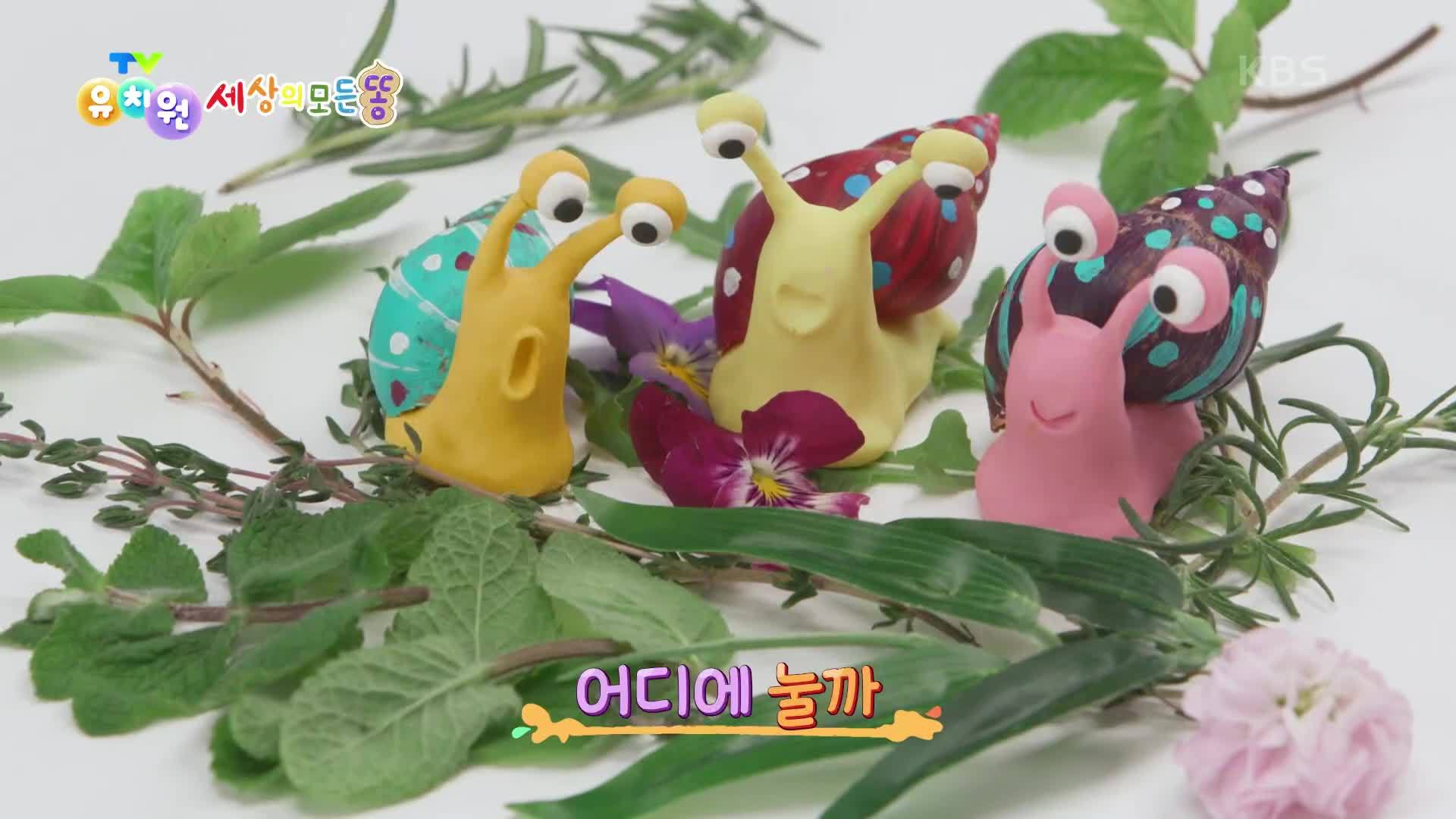 [세상의 모든 똥] 알록달록 달팽이 똥! 빨주노초파남보 무지개 똥! | KBS 230315 방송 | 보다