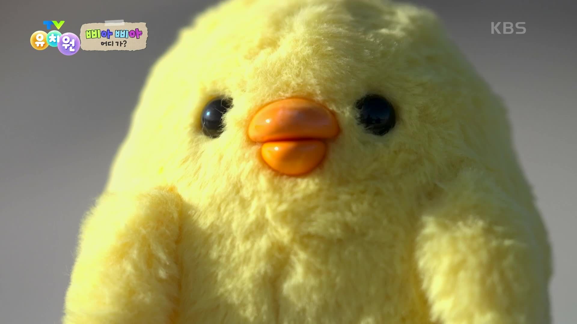 [삐아 삐아 어디 가?] 작은 친구 | KBS 240522 방송 | 보다