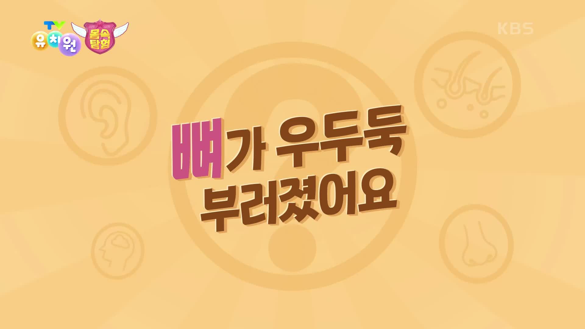 [삐뽀삐뽀 몸속탐험]뼈가 우두둑 부러졌어요 | KBS 250101 방송 | 보다