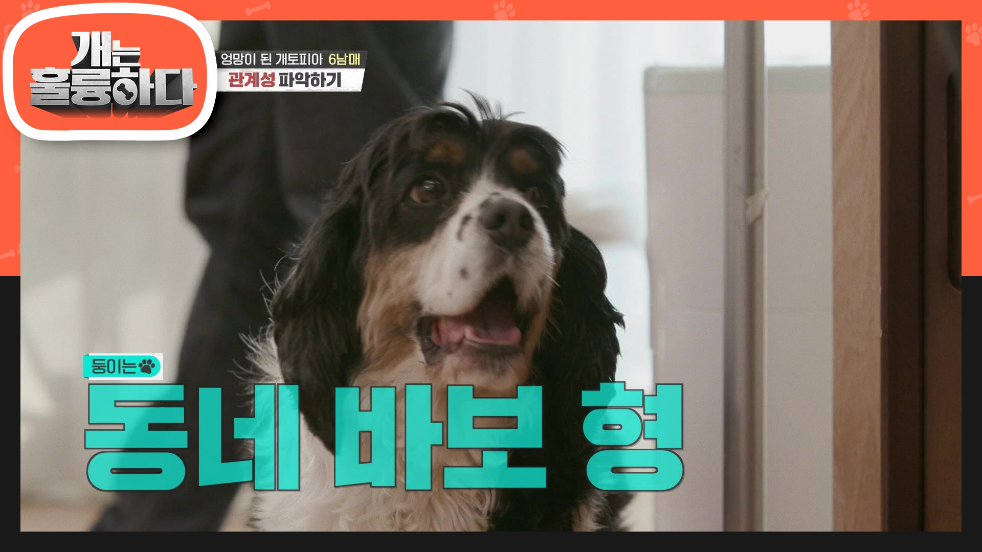 동네 바보형 같은 캐릭터의 껌둥이와 사건 확대견 껌소리?! | KBS 201228 방송 | 보다