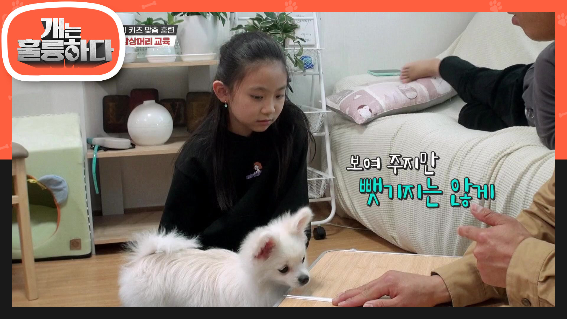 우유에게 꼭 필요한 훈련입니다. 밥상머리 교육 실시! | KBS 211213 방송 : VODA