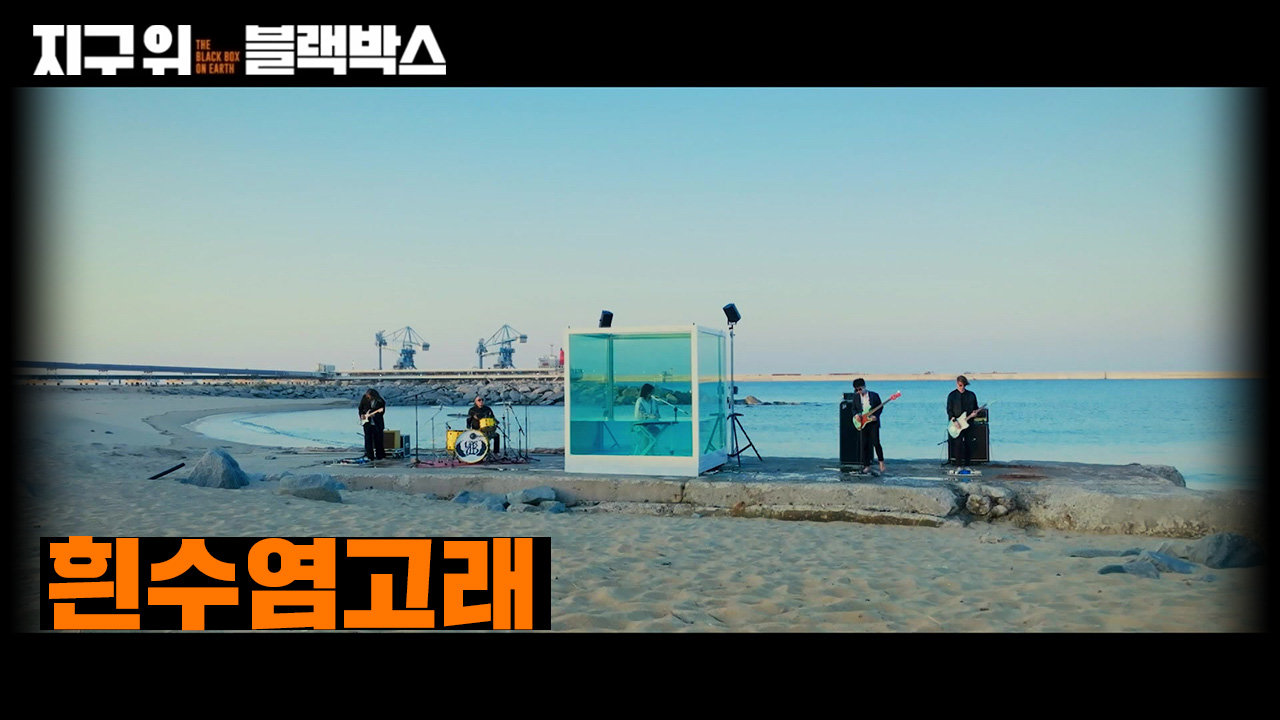 YB-흰수염고래 | KBS 231009 방송 : VODA