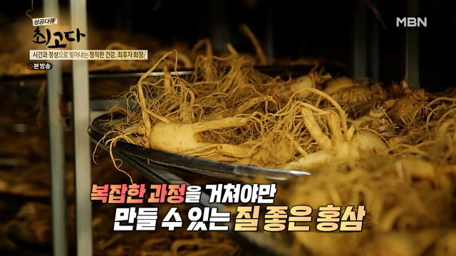 복잡한 과정을 거쳐야만 만들 수 있는 질 좋은 홍삼 MBN 211127 방송 : VODA