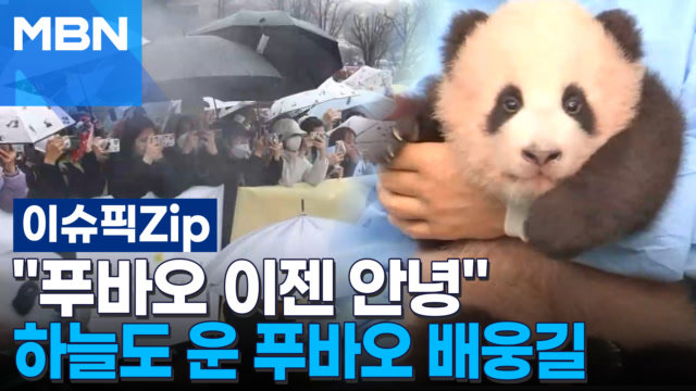 ＂푸바오 이젠 안녕＂ 하늘도 운 푸바오 배웅길 | 이슈픽 zip : VODA