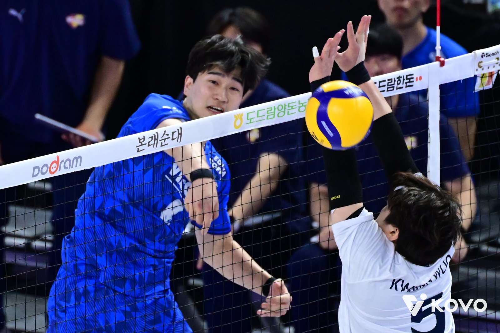 ‘잊혀진 신인왕’이 되길 거부하는 한국전력 박승수, “건강을 되찾았으니 제 기량 펼쳐야죠”｜스포츠동아